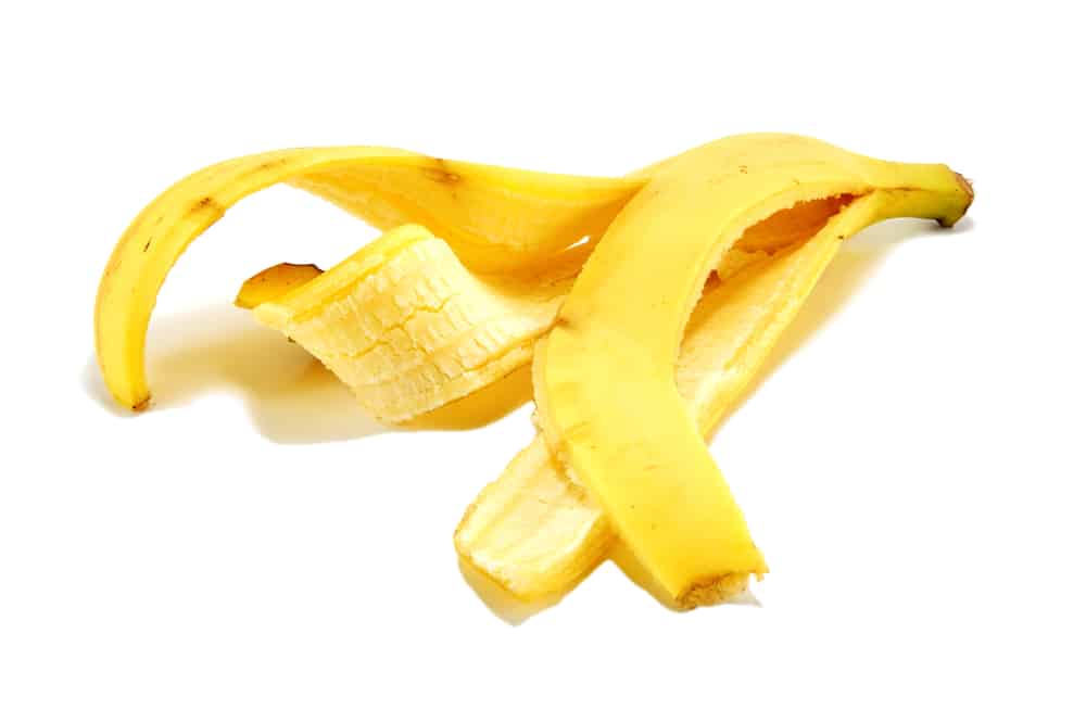 Peel The Truth Should You Put Banana Peels In The Garbage Disposal
