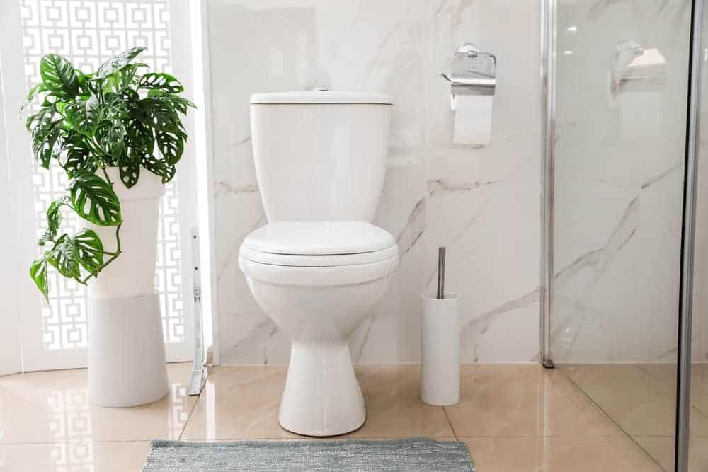 How Much Does A Standard Toilet Weigh Mr Kitchen Faucets