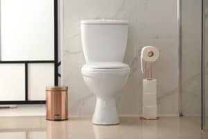 Glacier Bay Toilet Problems & Tips To Fix Them | Mr. Kitchen Faucets